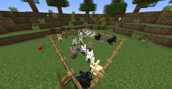 Conejo - WikiMinecraft